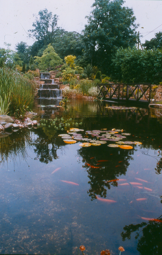 The Spider Filter and Clear Water – Fisher's Water Gardens